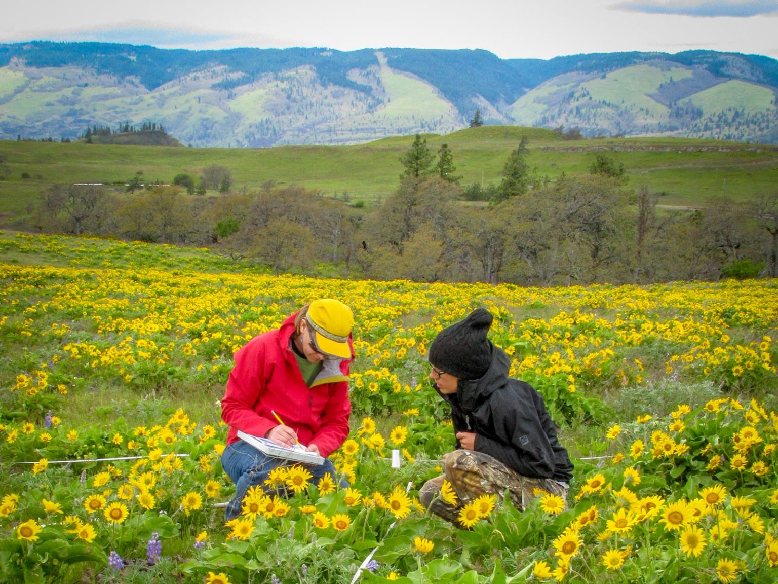 Support for learning the Conservation Standards