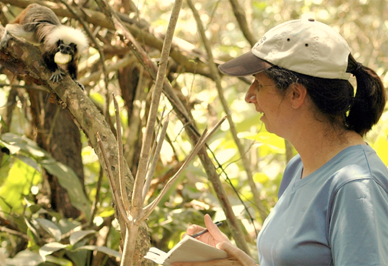 Conserving Colombia's cotton-top tamarins - conservationstandards.org ...